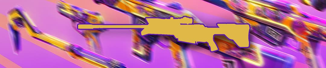 VALORANT skins