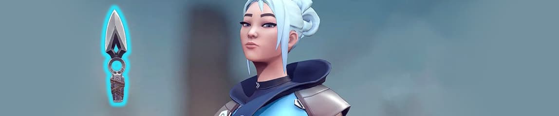 VALORANT skins