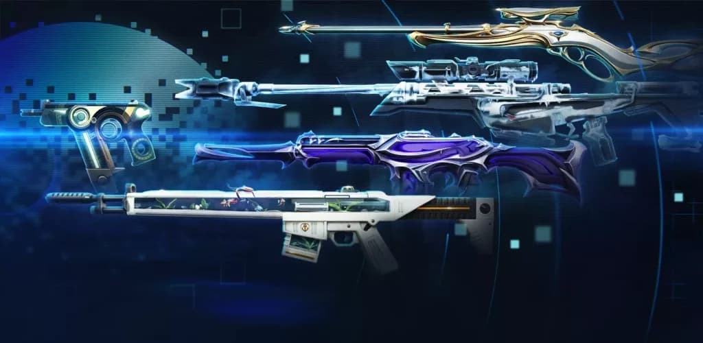 VALORANT skins