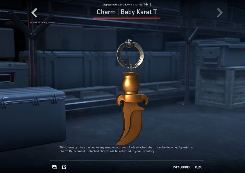 CS2 Charms