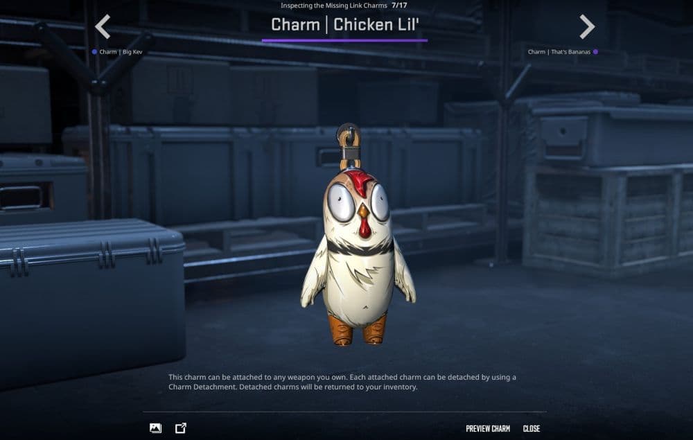 CS2 Charms