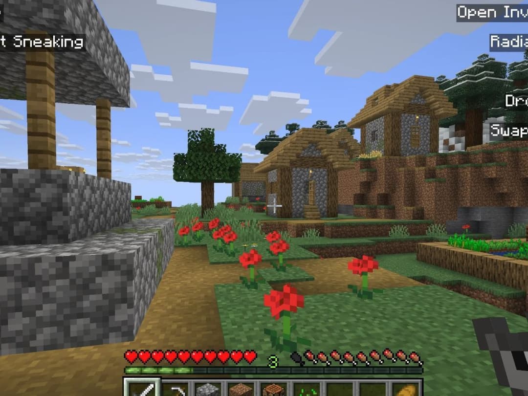 Minecraft Controlify Mod: How to install and use