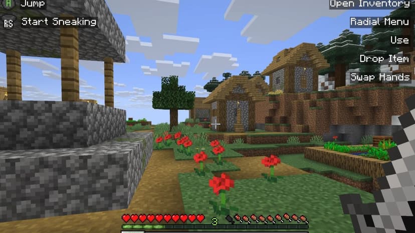 Minecraft Beginner's Guide