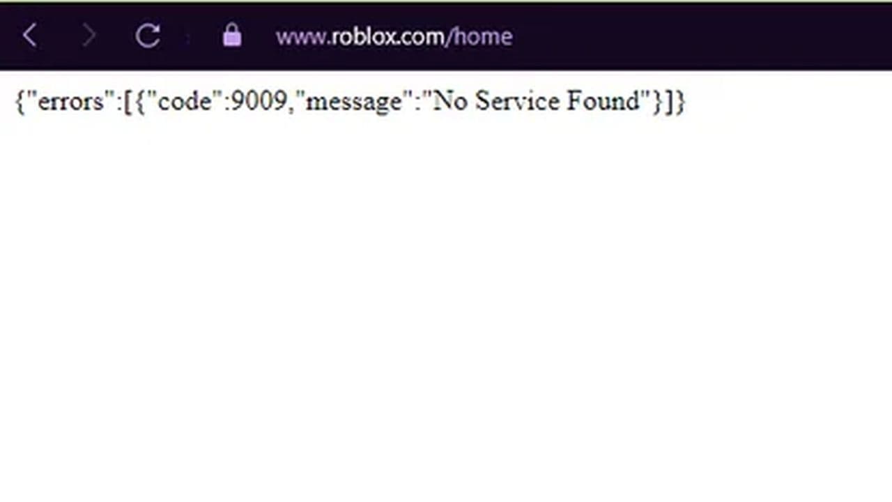 What does error code 9009 mean in Roblox?