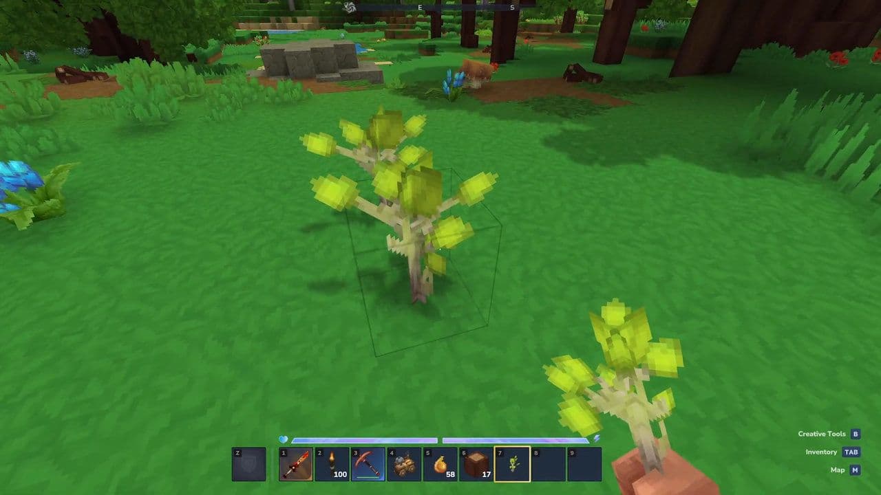 Hytale saplings guide: How to plant trees in Hytale