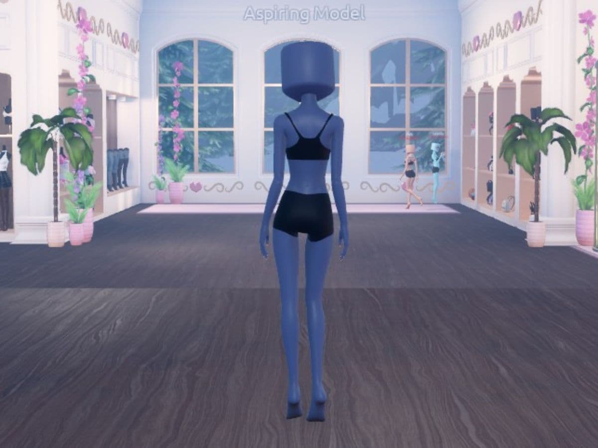 Best Meme Dress to Impress outfit ideas